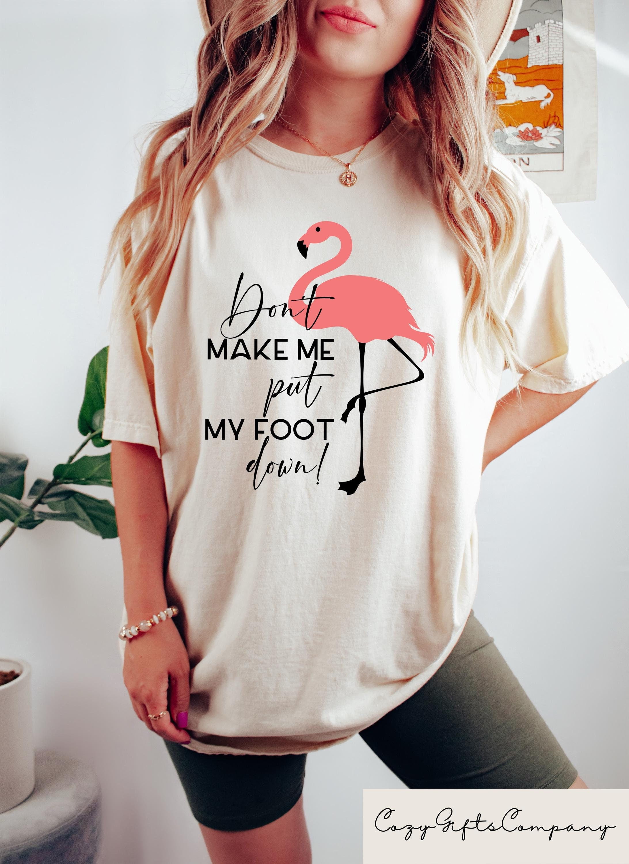 Funny Flamingo T-shirt, Don't Make Me Put My Foot Down Flamingo Shirt ...