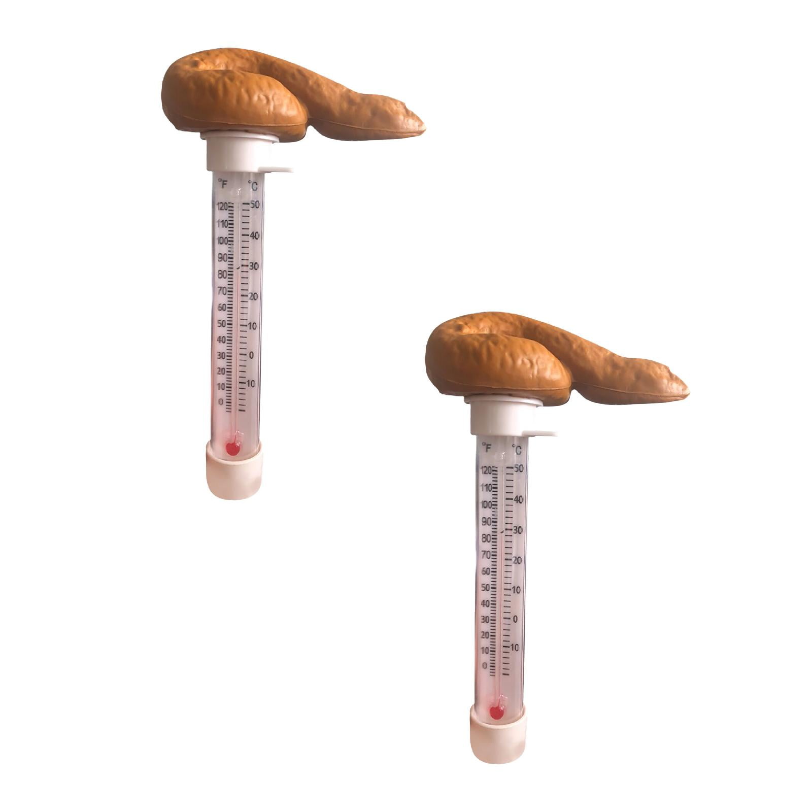 Funny Floating Poop_Thermometer – Realistic Prank Style Pool & Spa ...
