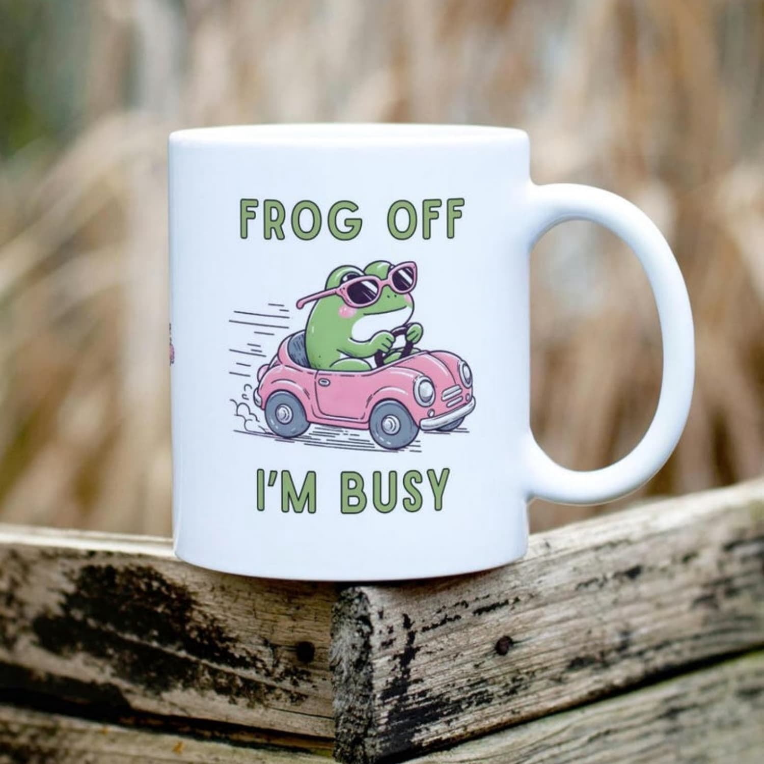Funny Frog Ceramic Mug - Frog Off I'm Busy - Funny Birthday Mug - Gift ...