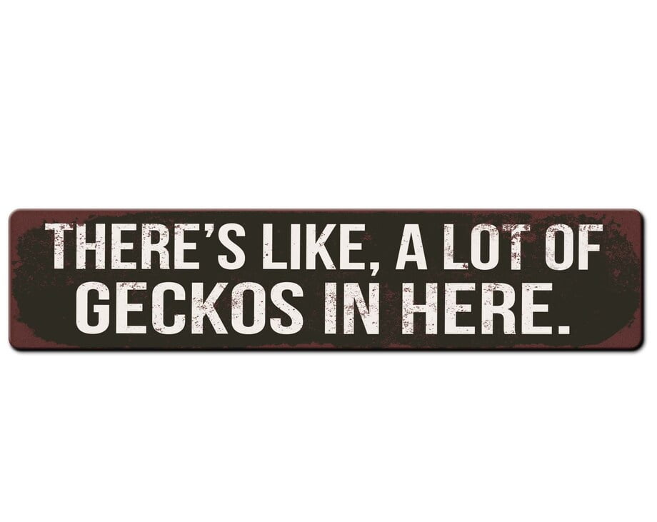 Funny Gecko Room Sign There's like a lot of Geckos in here Gecko Lover ...