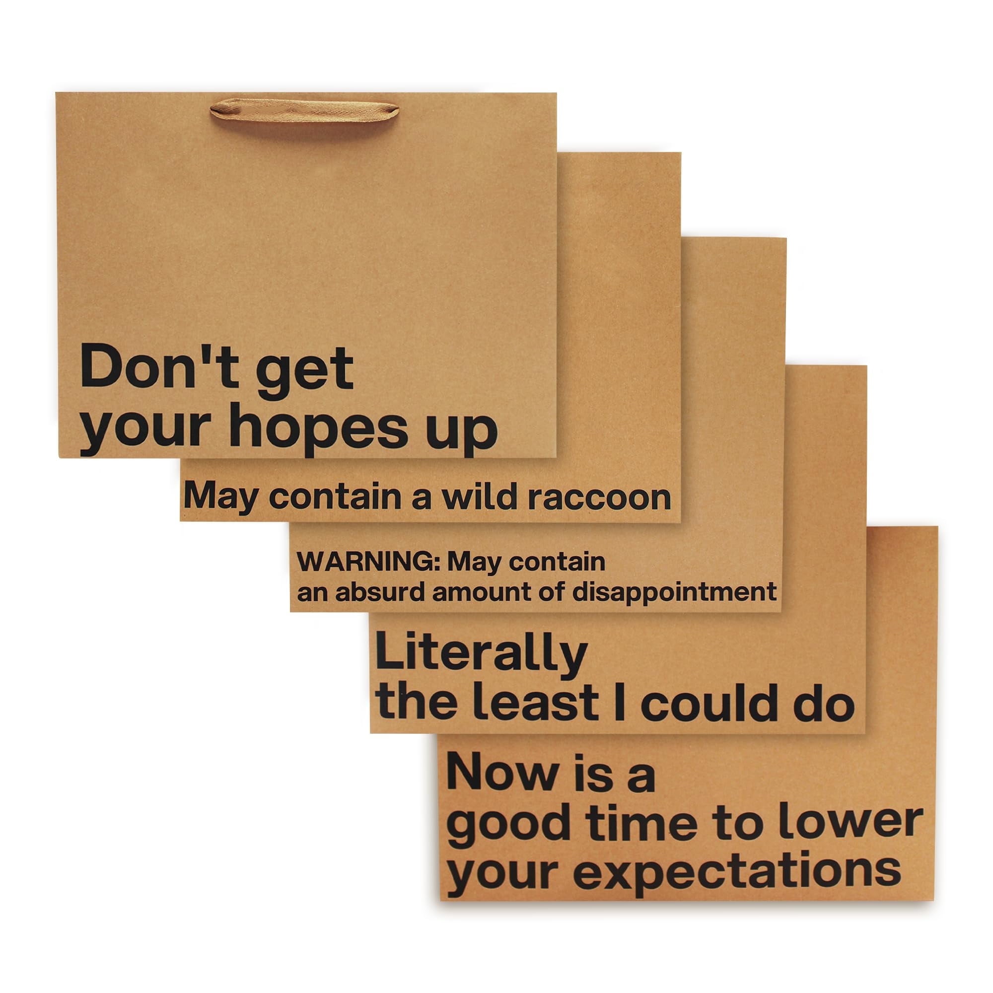 Funny Gift Bags Set of 5 – Large 16 x 6 x 12 inch Kraft Gift Bags with ...