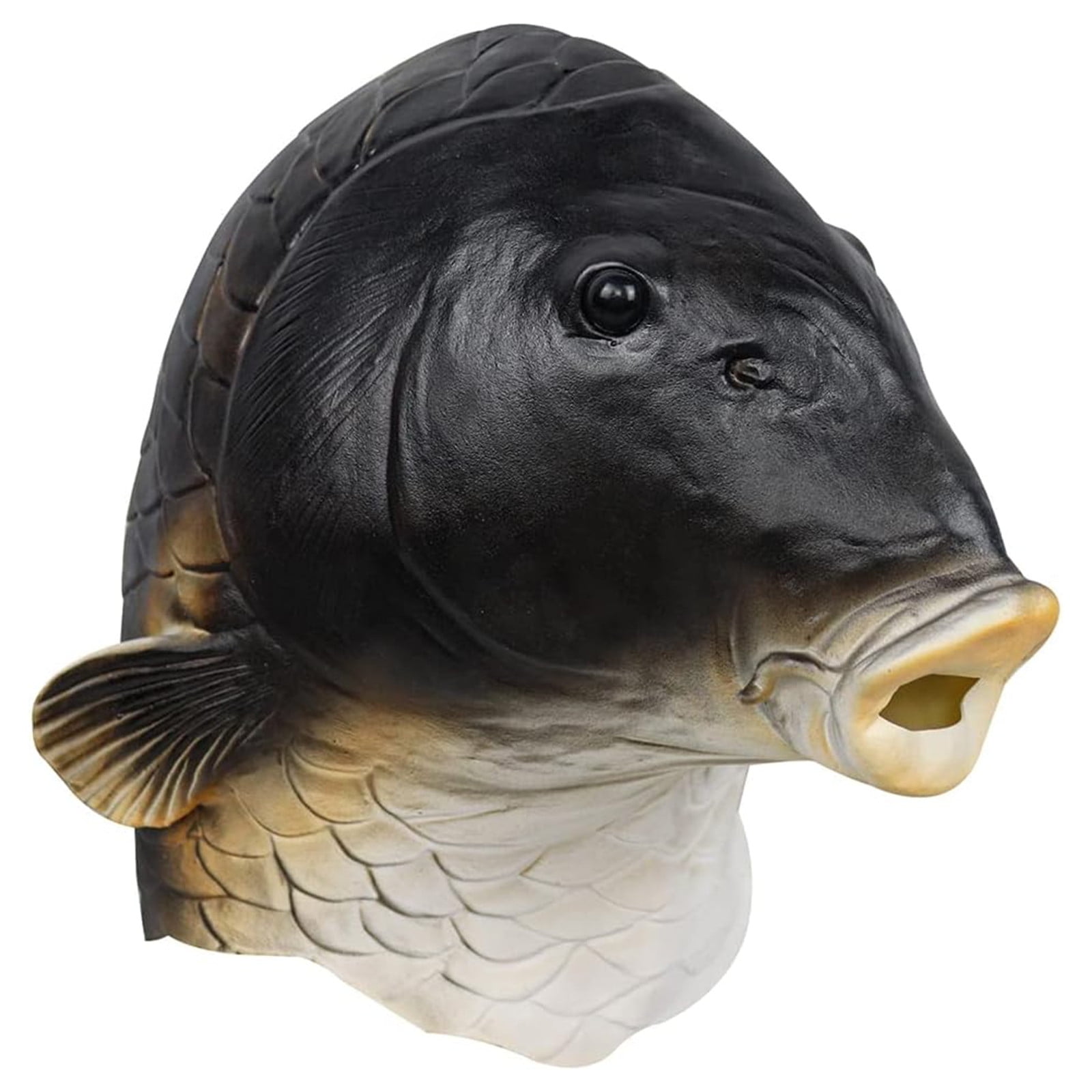 Realistic Fish Head