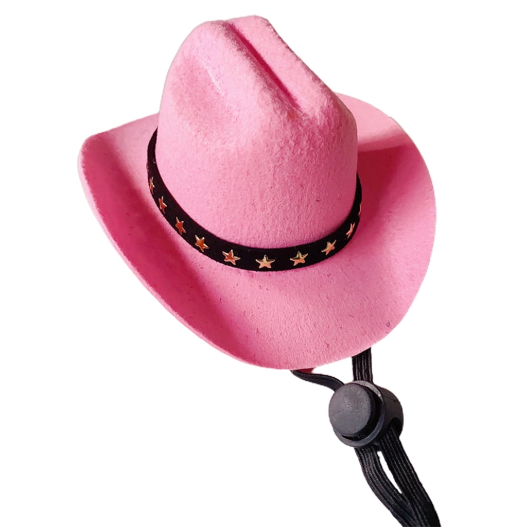 Funny Hat Cowboy Hat Costume Birthday Western Cowgirl Accessories Pet ...