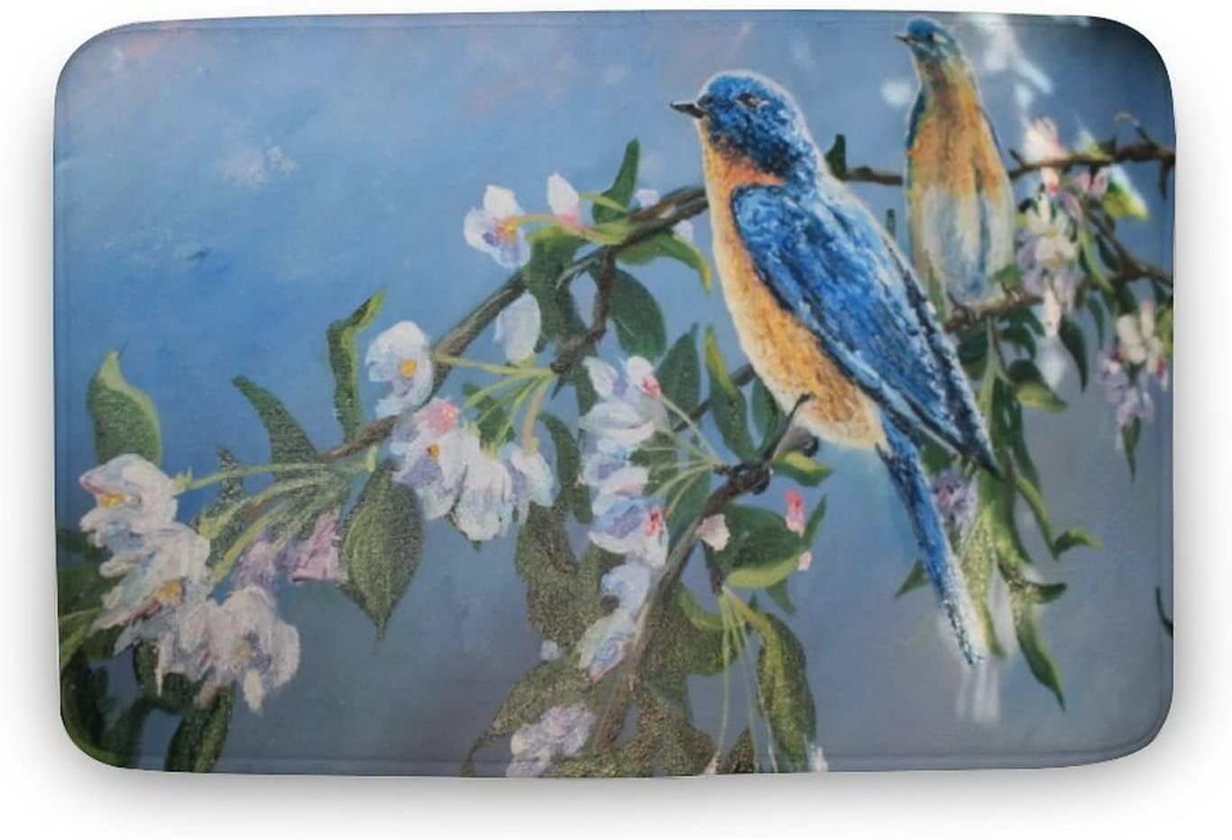Funny Home Decorative Welcome Doormat Outdoor Indoor, Two Blue Birds ...