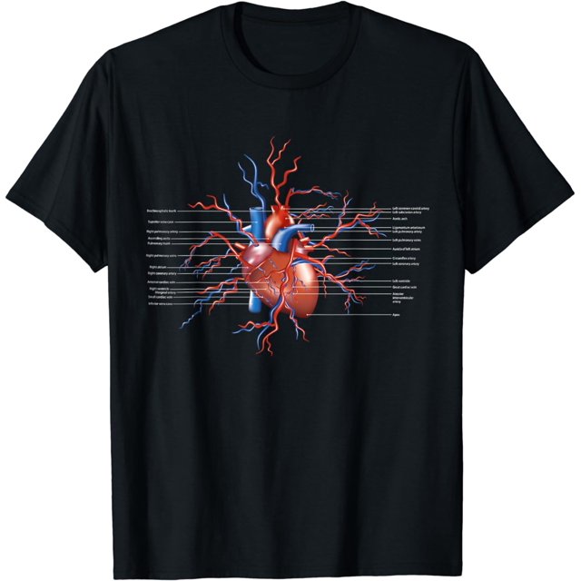 Funny Human Heart Anatomical Anatomy Of Heart Graphic T-Shirt - Walmart.com