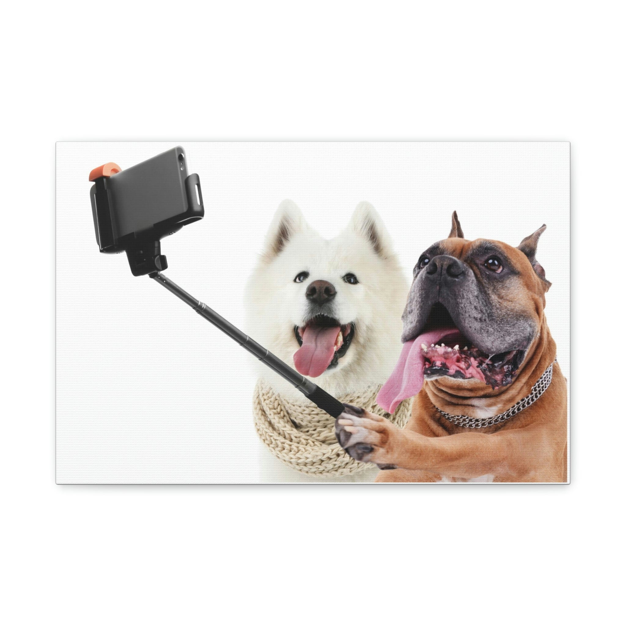 Funny Husky Silly Husky Couple Outside Wall Art Ready to Hang Unframed ...