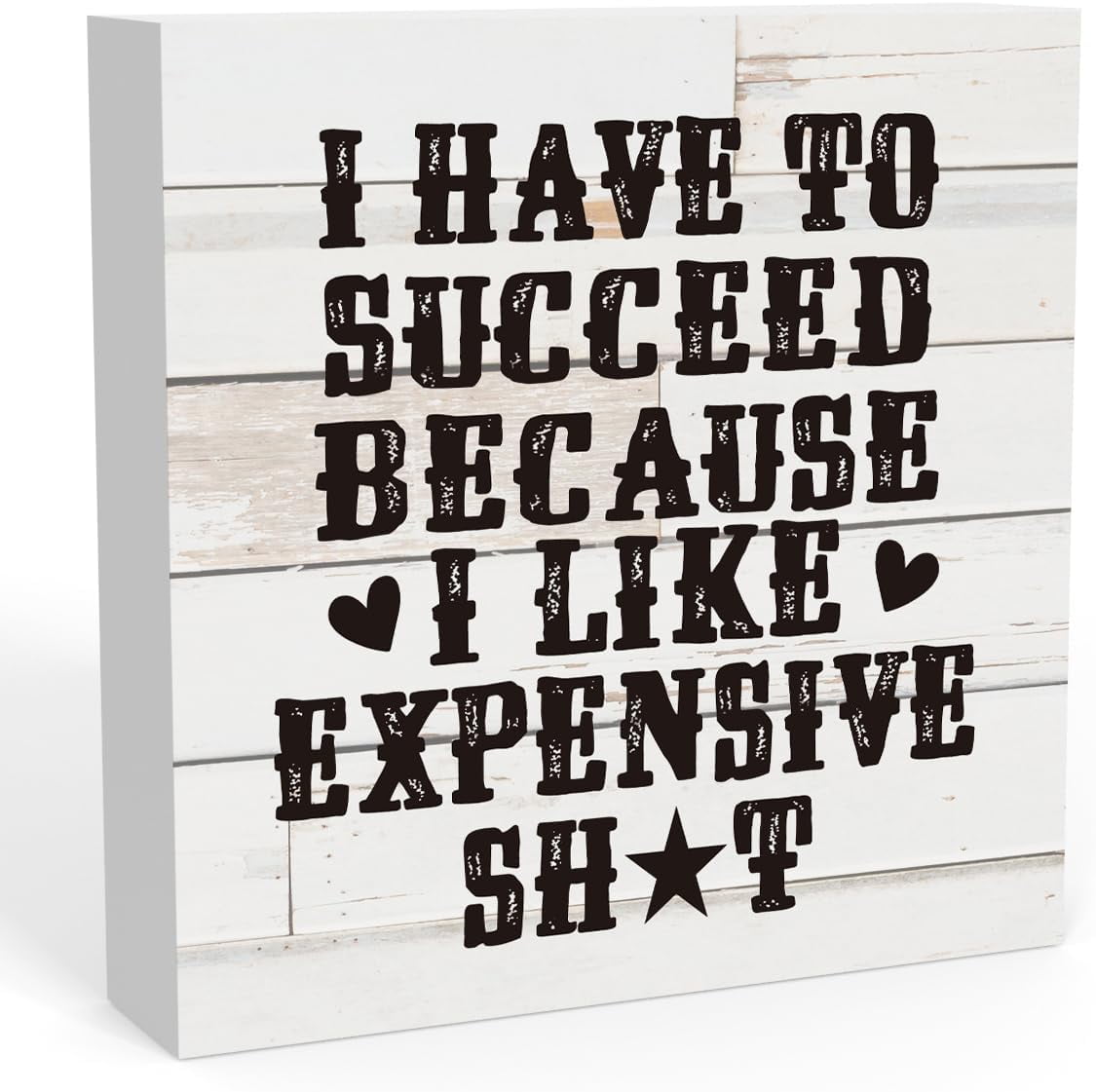 Funny I Have To Succeed Sign, Home Office Desk Decor For Men Women ...