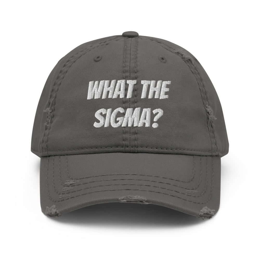 Funny Ironic Meme Brainrot Quote Embroidered Distressed Dad Hat, What ...