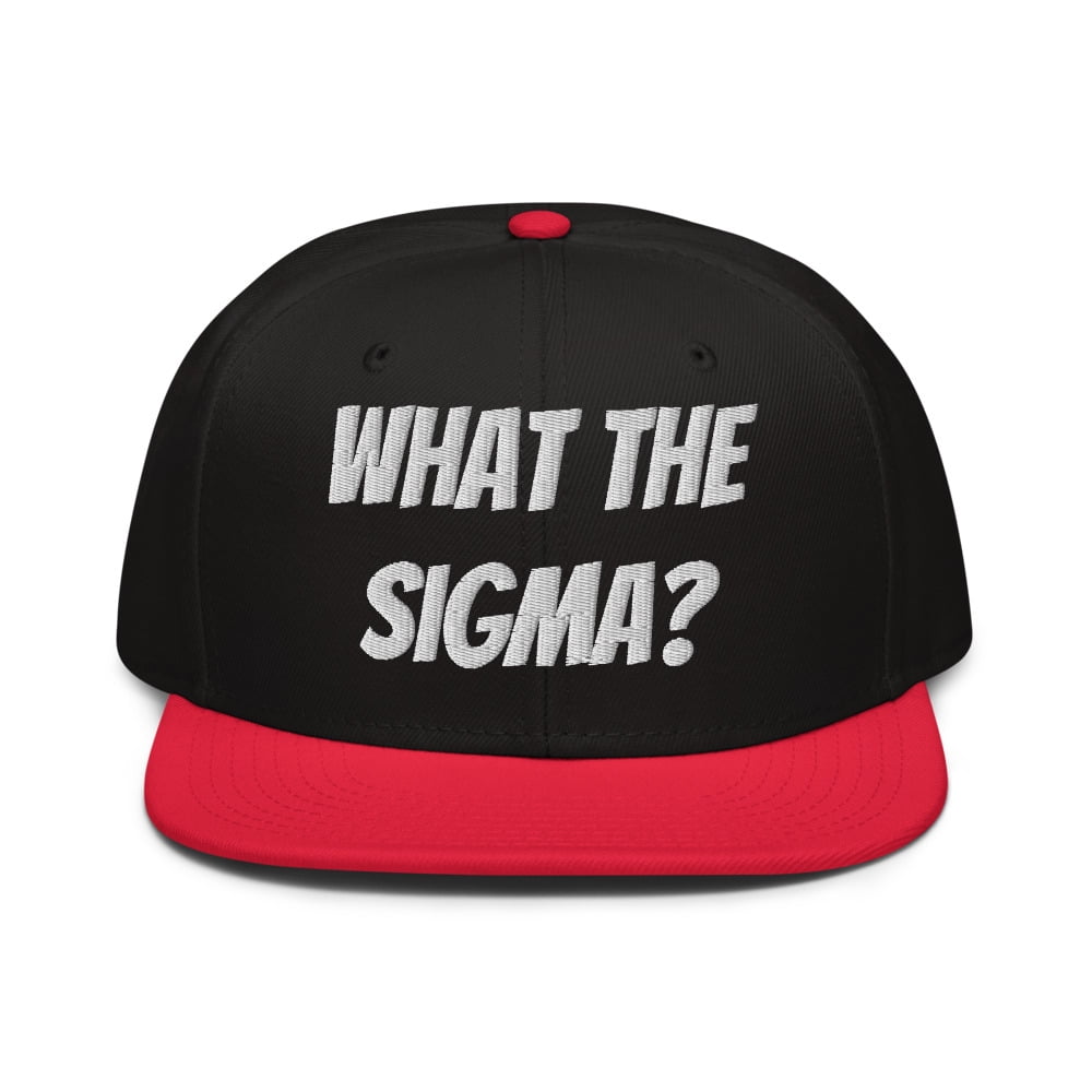 Funny Ironic Meme Brainrot Quote Embroidered Snapback Hat, What The ...