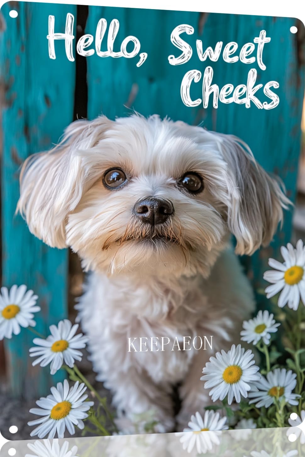 Funny Maltese White Daisy Tin Signs Hello Sweet Cheeks Funny Poster ...