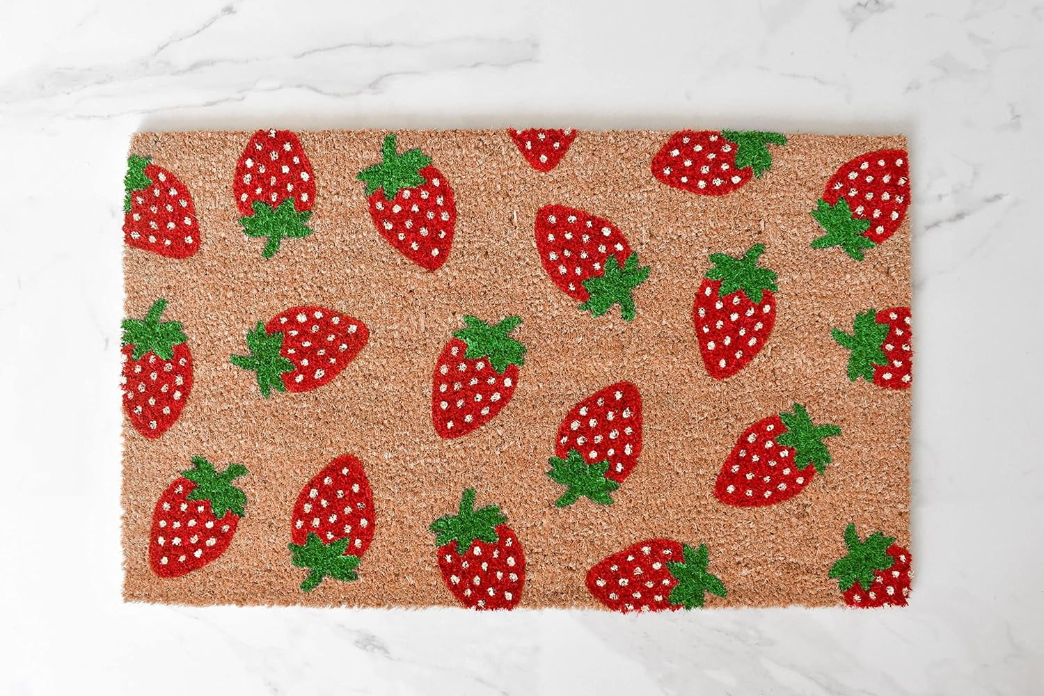 Funny Mat Outdoor Strawberry Doormat Summer Doormat Cute Doormat ...