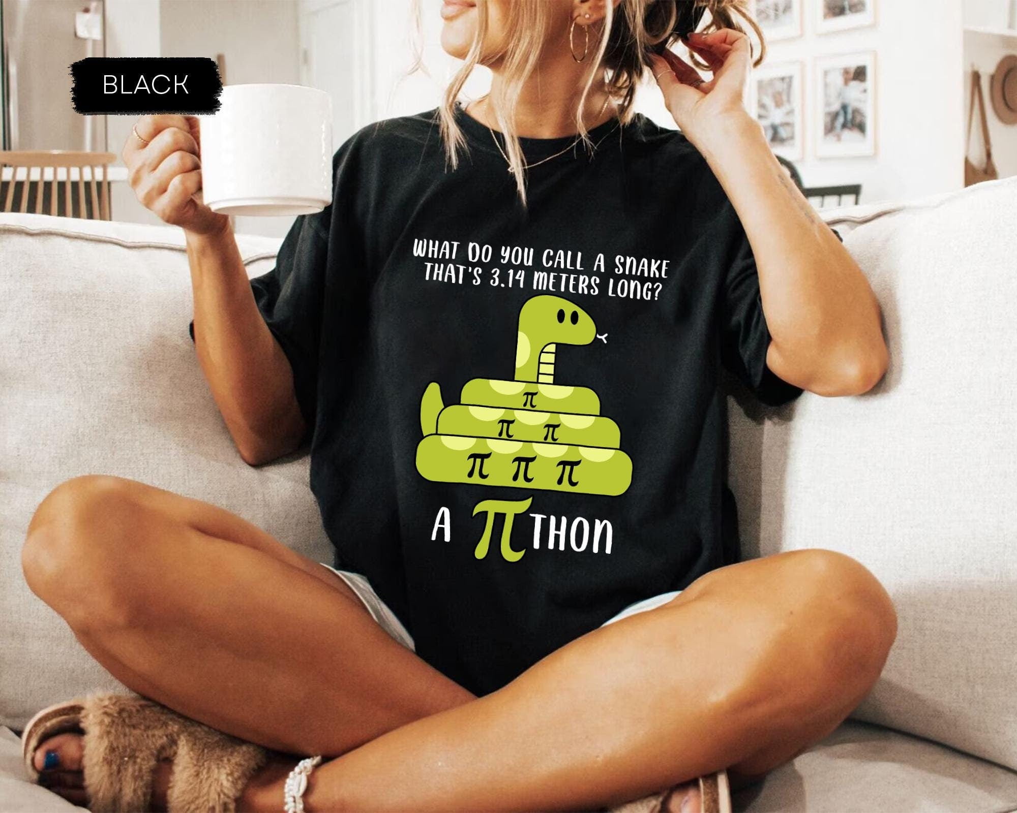 Funny Math Teacher Shirt, Pithon Shirt, Pi Graphic Tees, Math Teacher ...