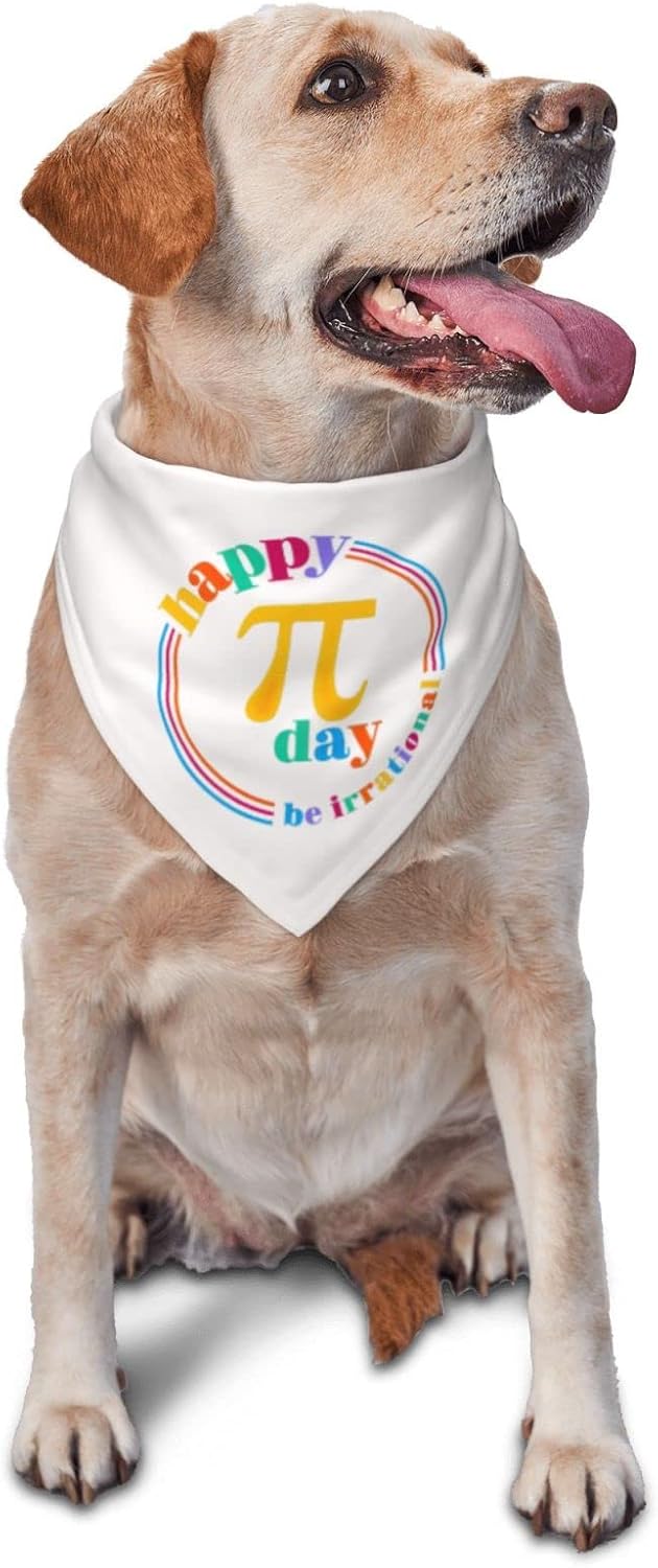 Funny Mathematical Happy Pi Day Dog Bandana Triangle Bibs Scarf ...