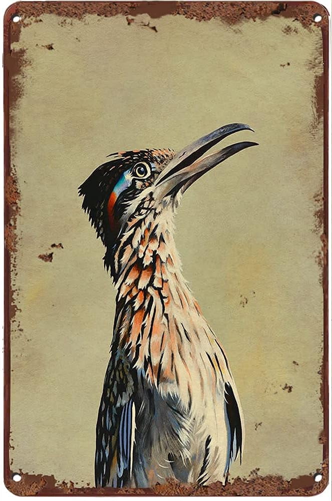 Funny Metal Tin Sign Cute Bird Funny Tin Sign Summer Wall Decor ...