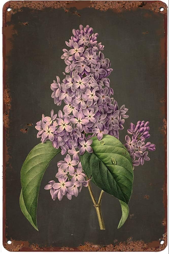 Funny Metal Tin Sign Flower Floral Funny Tin Sign Summer Wall Decor ...