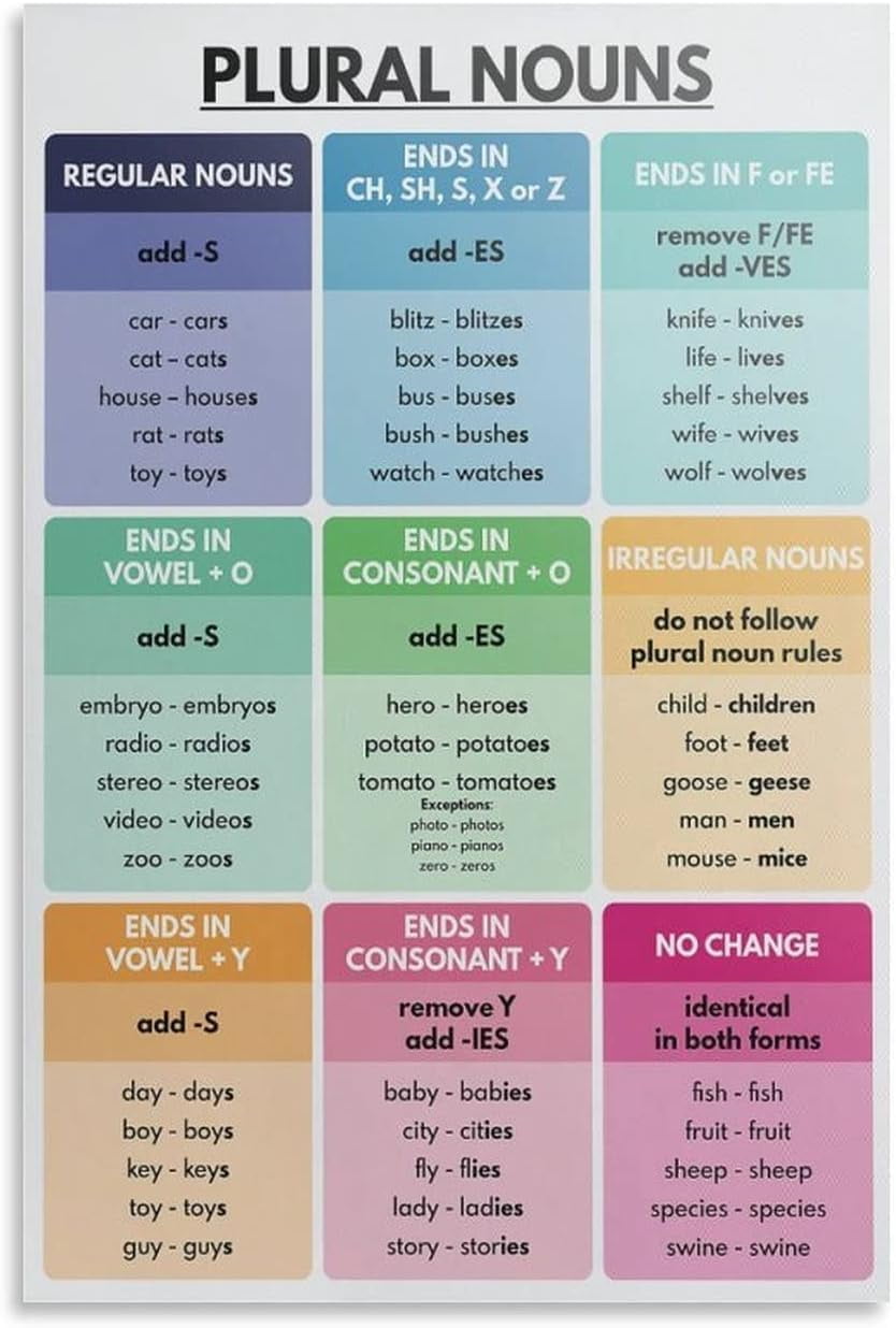 Funny Metal Tin Sign Plural Nouns Poster Grammar Chart For Classroom ...