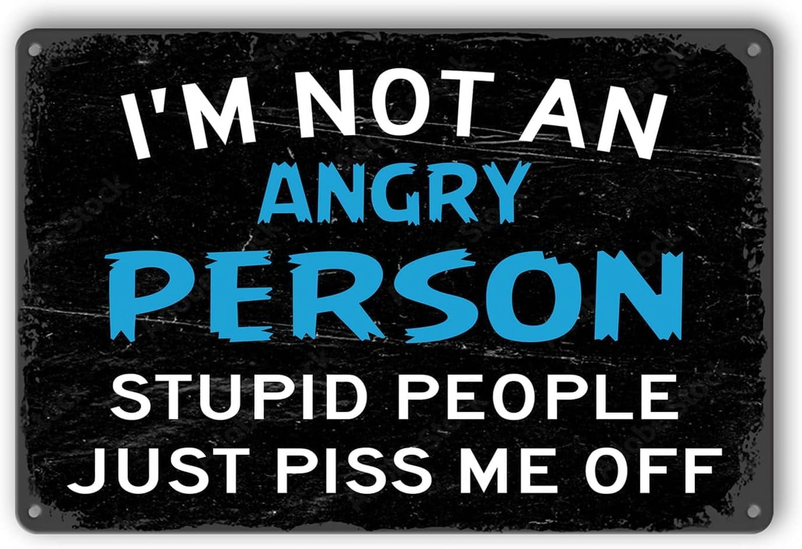 Funny Metal Tin Sign No Stupid People Signs Warning Tin Signs No Stupid ...