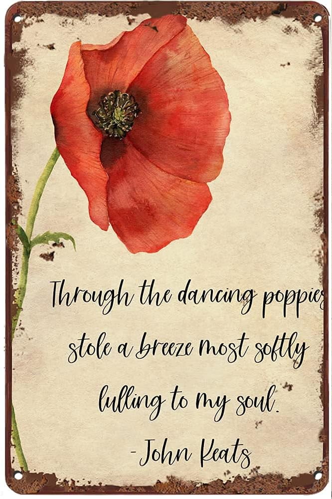 Funny Metal Tin Sign Through The Dancing Poppics Funny Tin Sign Summer ...