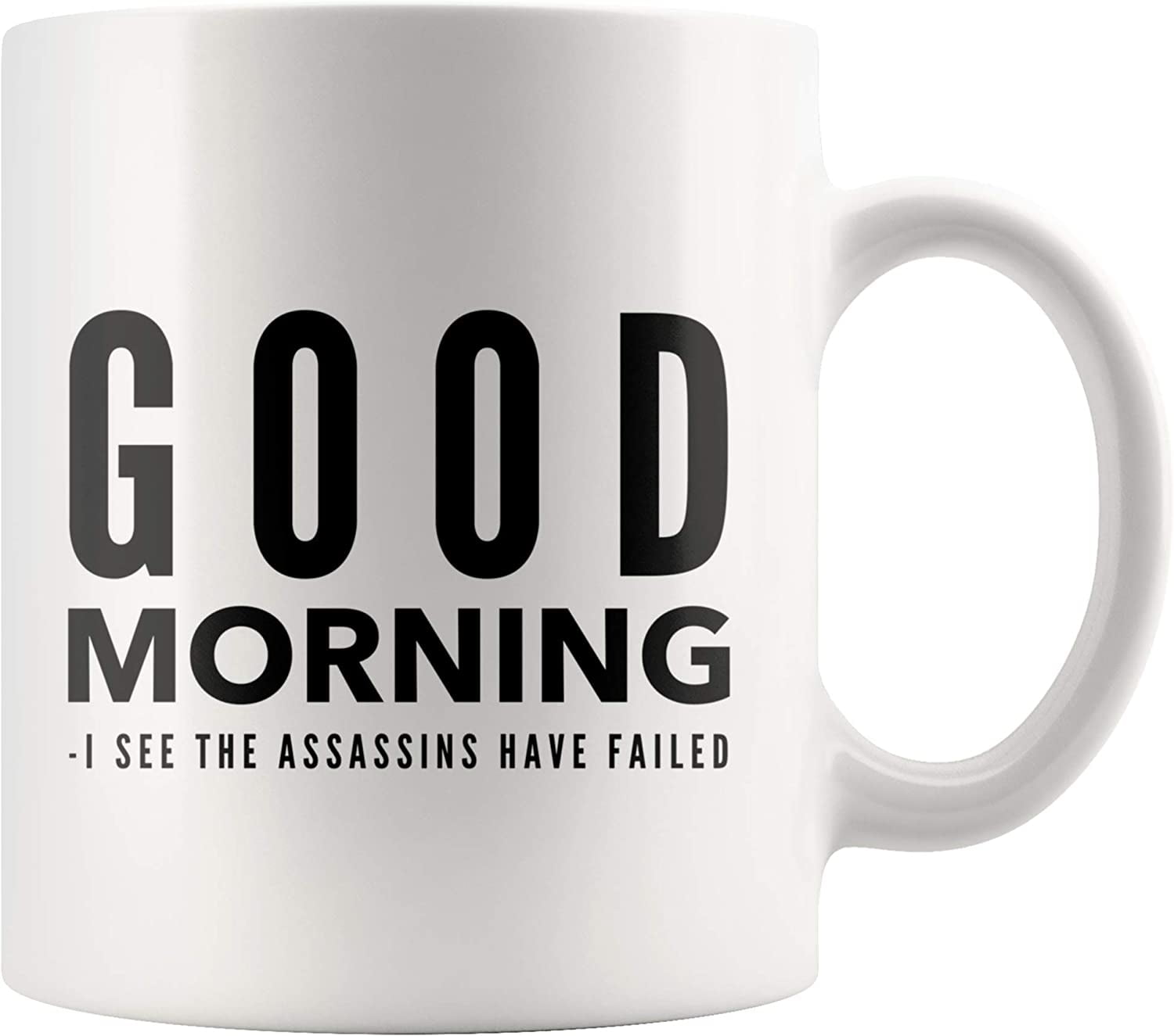 Funny Mug With Sayings Good Morning Coffee Mug 11 oz I see the ...