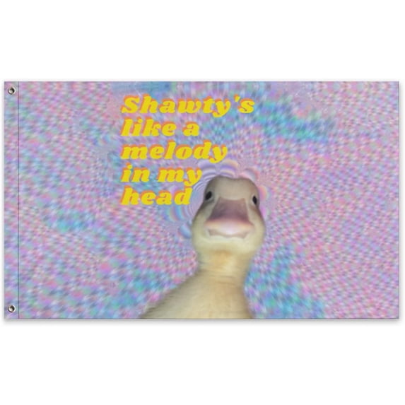 Funny Music Duck Meme Flag Fun Goose Tapestries Poster Wall Decor ...