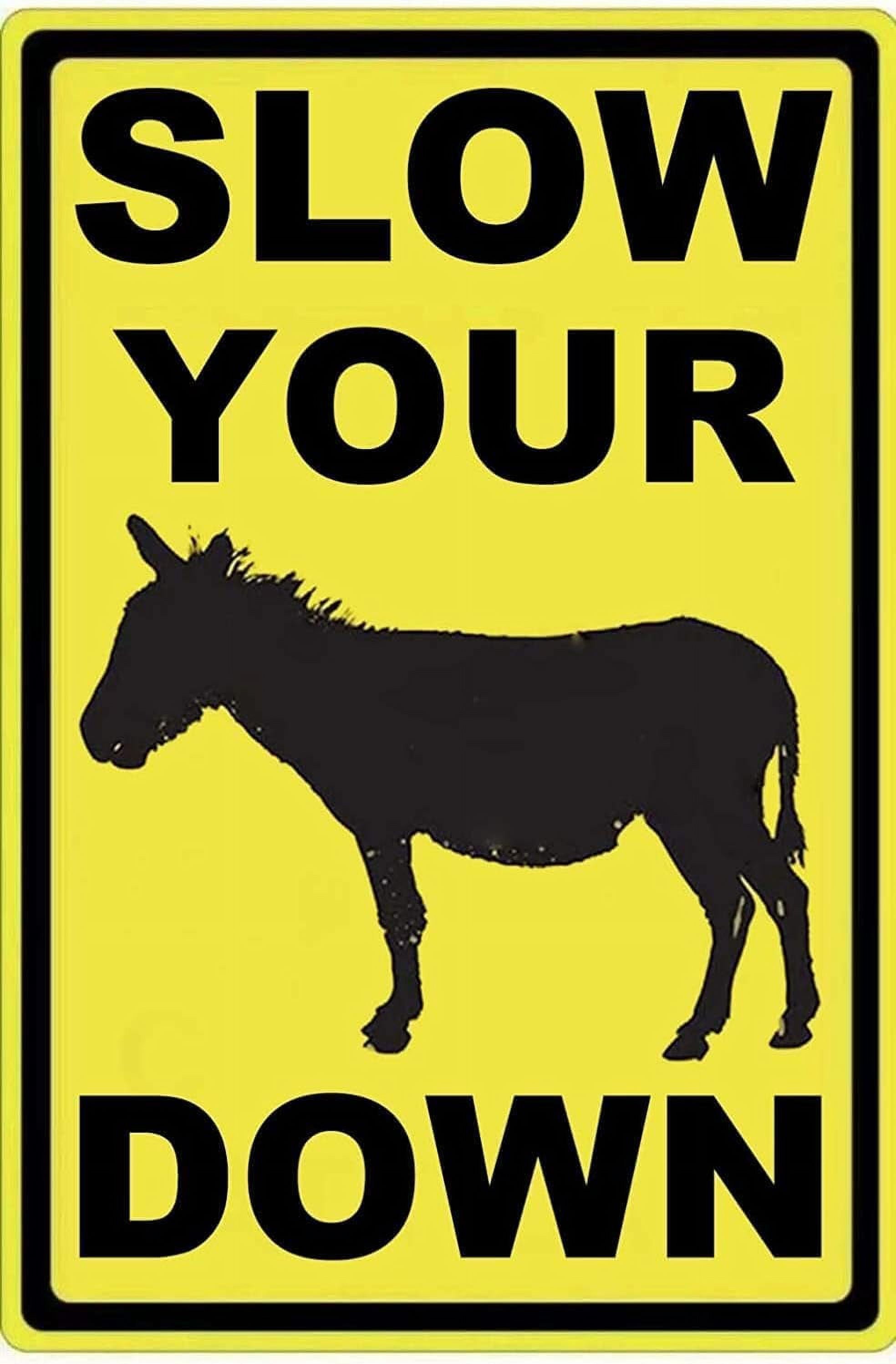 Funny Novelty Sign Slow Your Donkey Ass Down Retro Metal Tin Sign for ...
