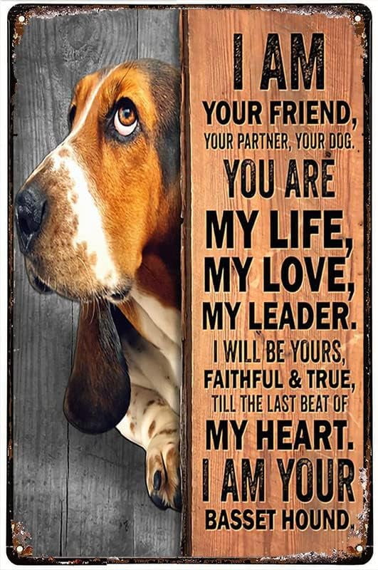 Basset Hound Decor