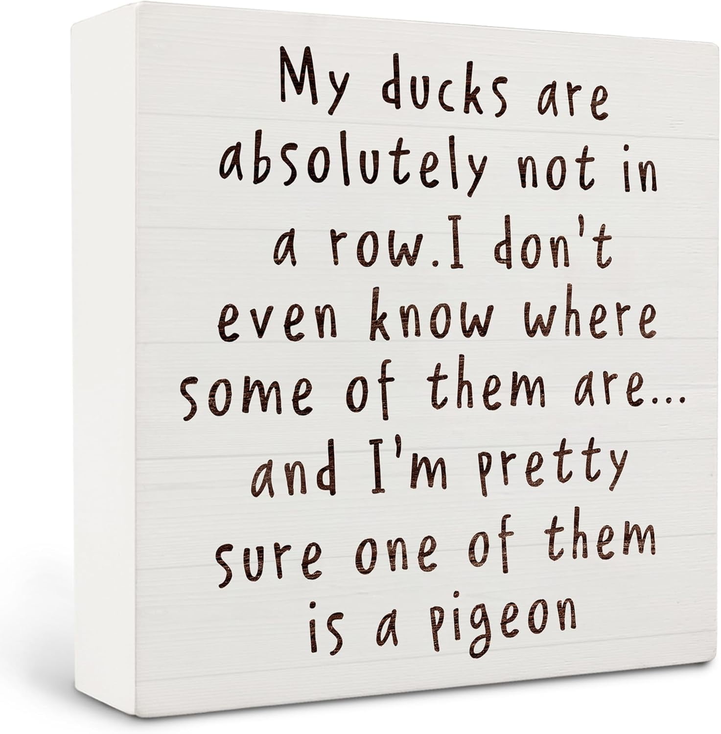 Funny Office Wood Box Sign, My Ducks Are Absolutely Not In A Row Sign ...