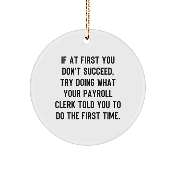 Funny Payroll Clerk Gifts from Friends, Unique Circle Ornament for ...