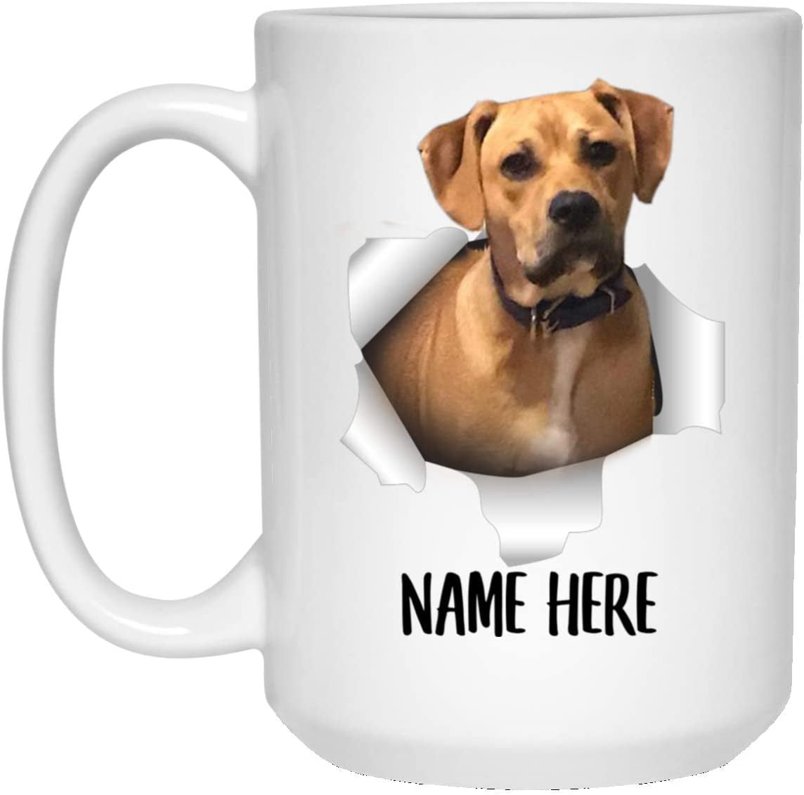 Funny Personalized Name Black Mouth Cur Red Fawn Custom Text Christmas ...