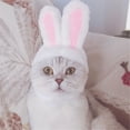 Funny Pet Costume Hat with Droopy Rabbit Ears | Soft Knit Short Plush ...