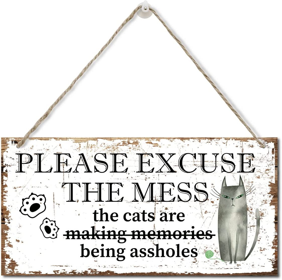 Funny Please Excuse The Mess Wall Decor Wood Plaque Sign, Hanging ...