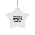Funny Postmaster Gifts from Men to Women Funny Star Ornament This Is ...