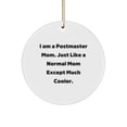 Funny Postmaster Mom Gifts from Family - Unique Circle Ornament for ...