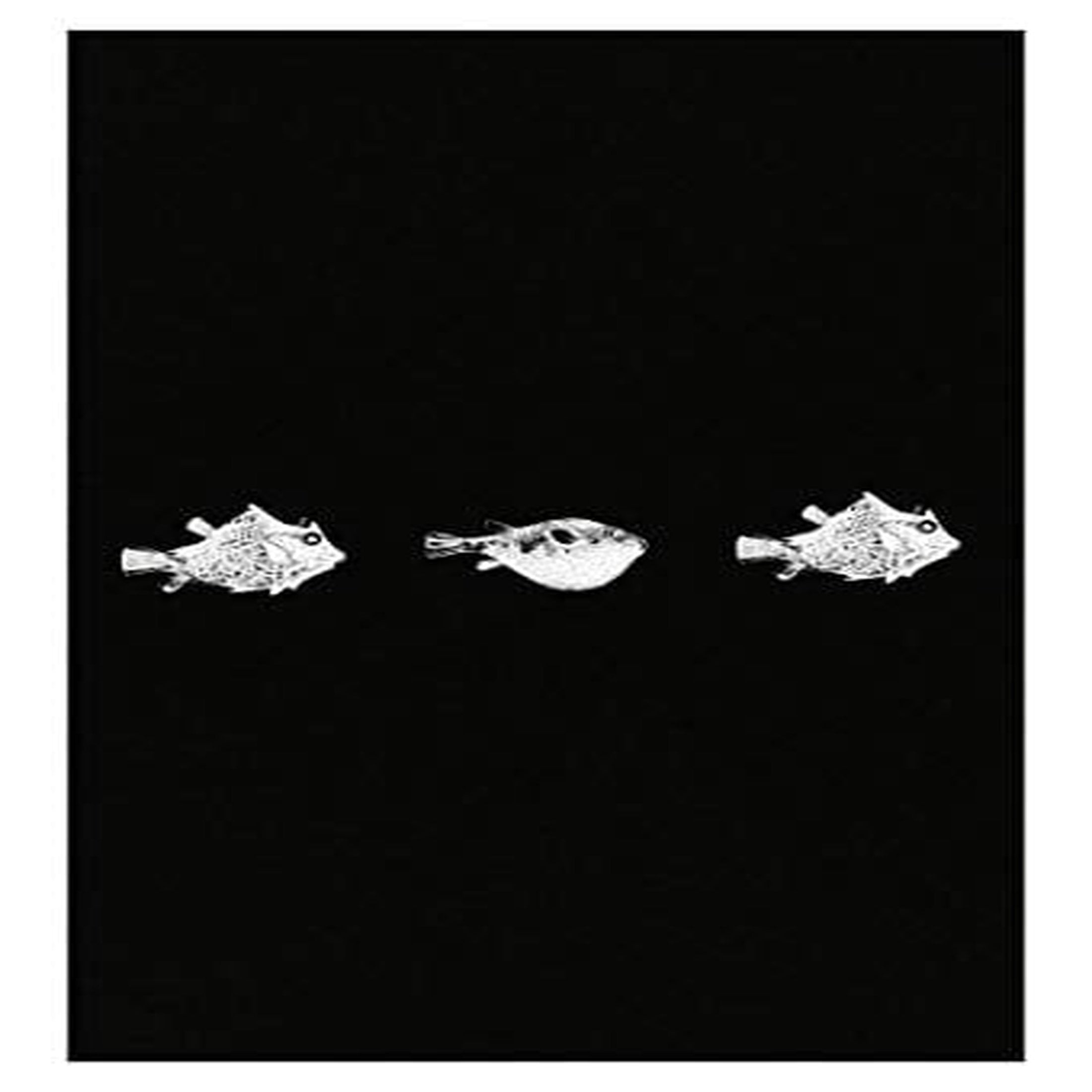 Funny Puffer Fish Poster - Wall Decor for Ocean Lovers Gift - Walmart.com