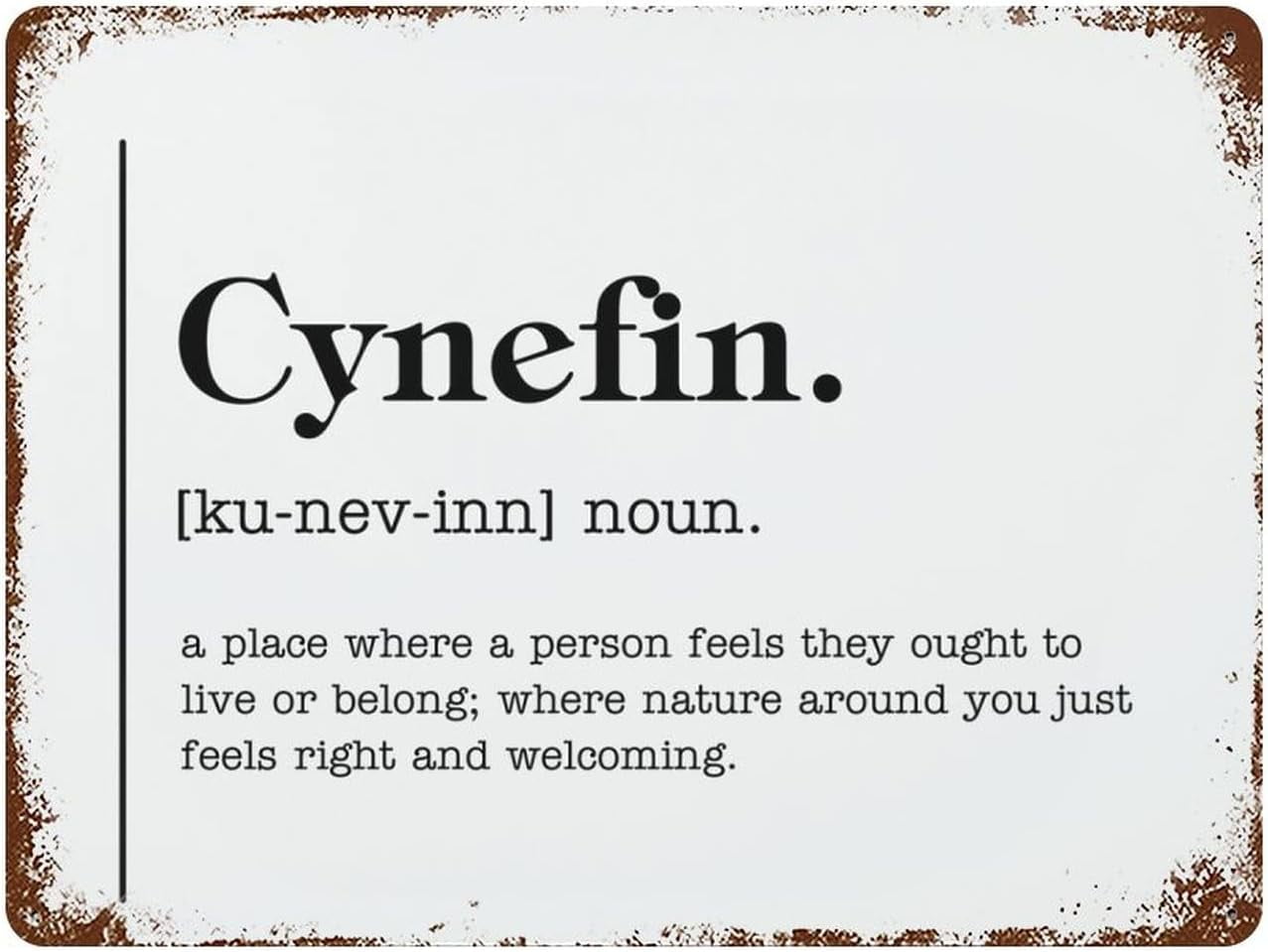 Funny Quote Saying Metal Tin Sign Funny Metal Signs Definition Noun ...