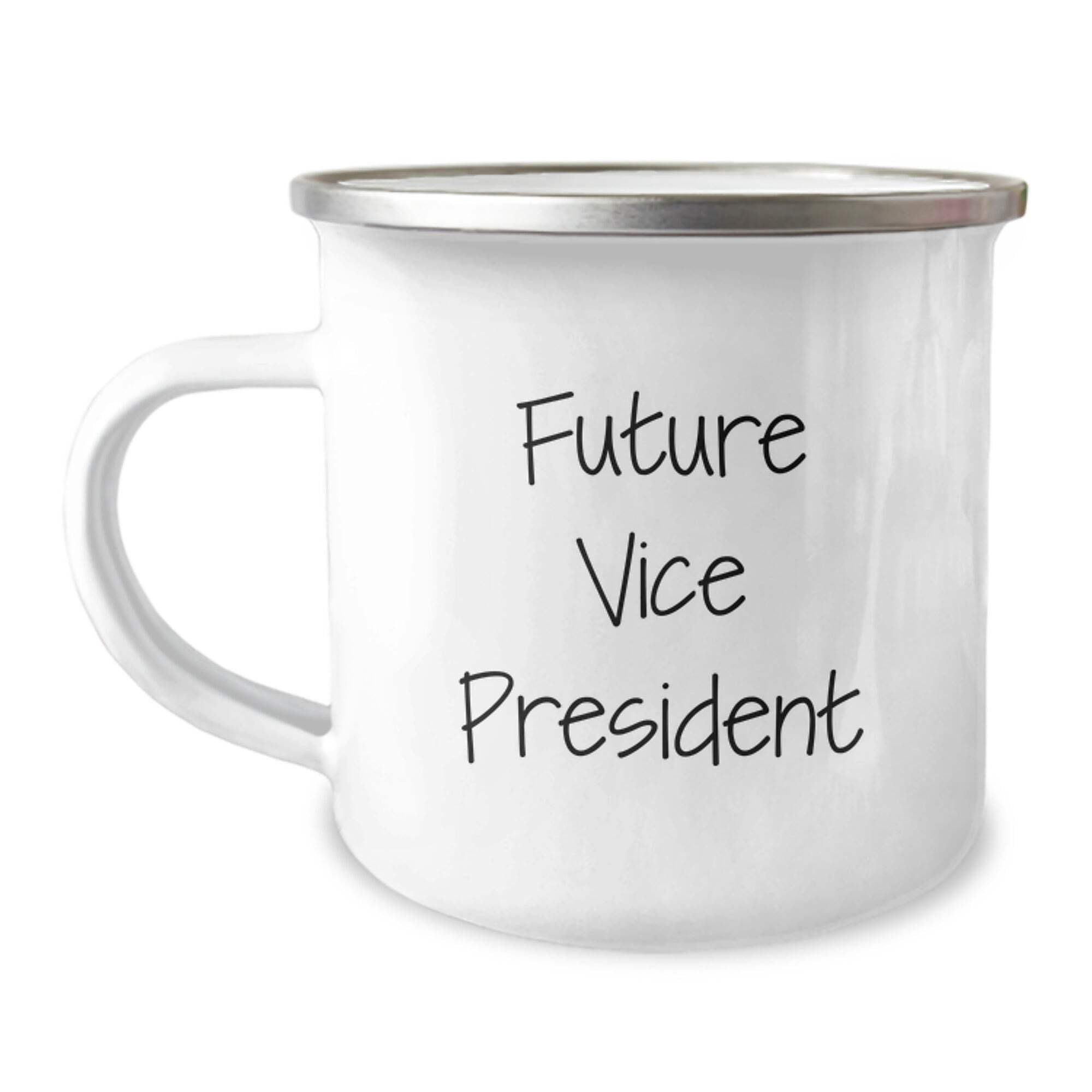 Funny Quote Vice President Gifts - Christmas Unique Gifts for Vice ...