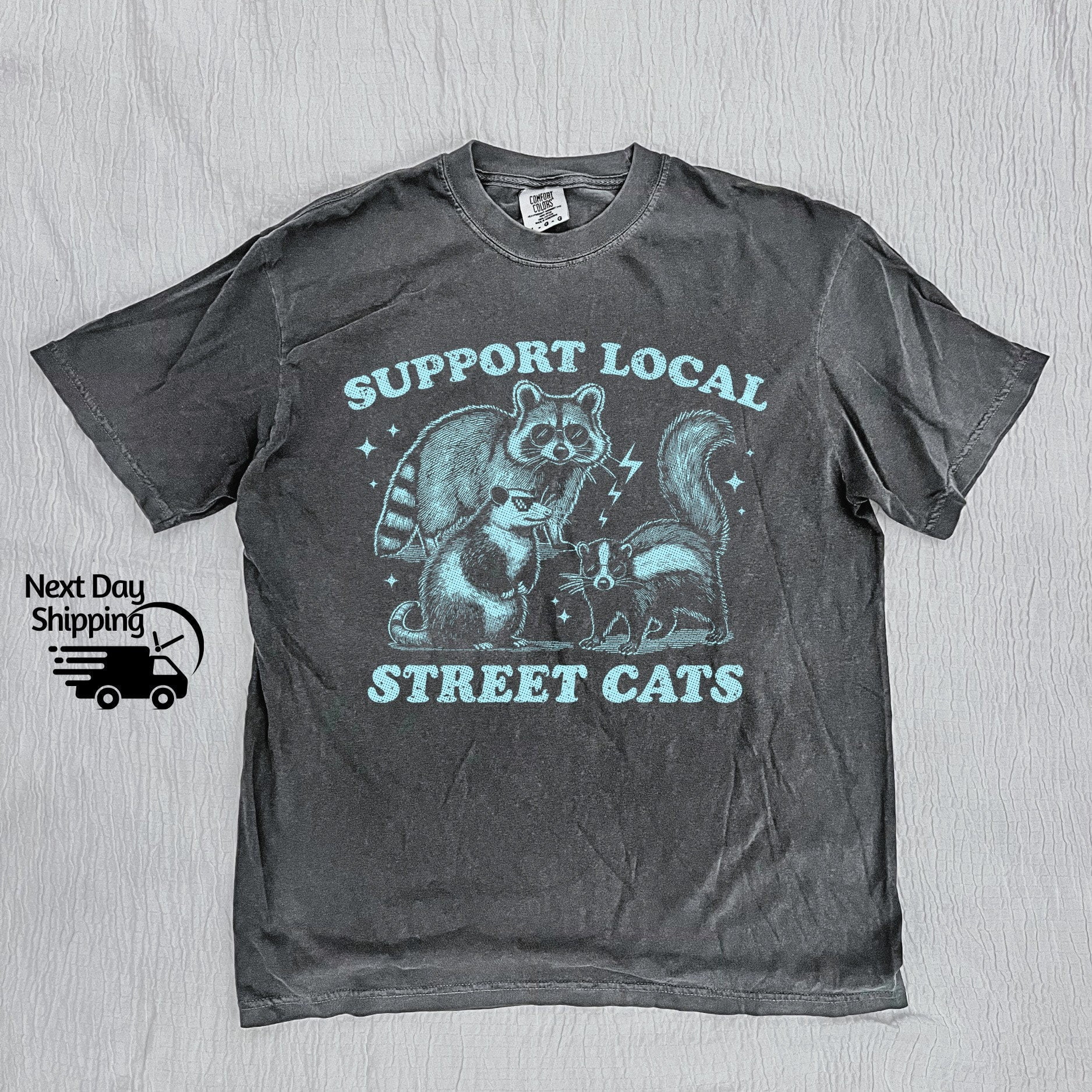 Funny Retro Raccoon Support Local Street Cats 90s Graphic Shirt, Wild Animal Lovers Shirt ...