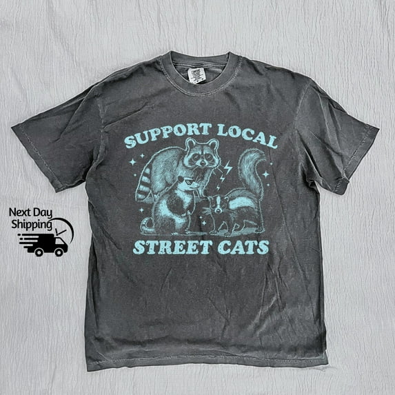 Funny Retro Raccoon Support Local Street Cats 90s Graphic Shirt, Wild ...