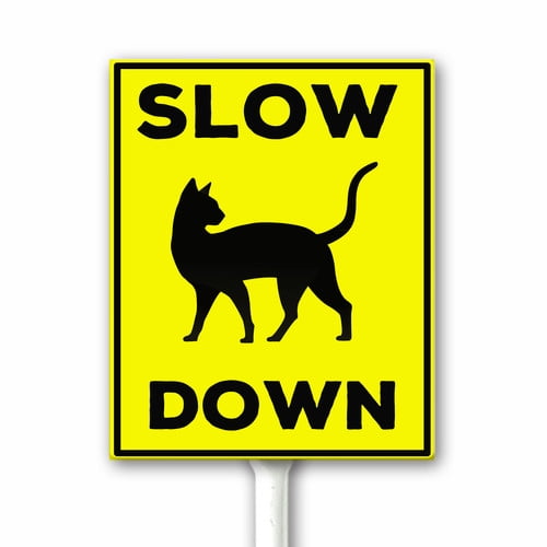 Funny Road Safety Signs, Slow Down Cat Crossing Traffic Sign, Beware of ...