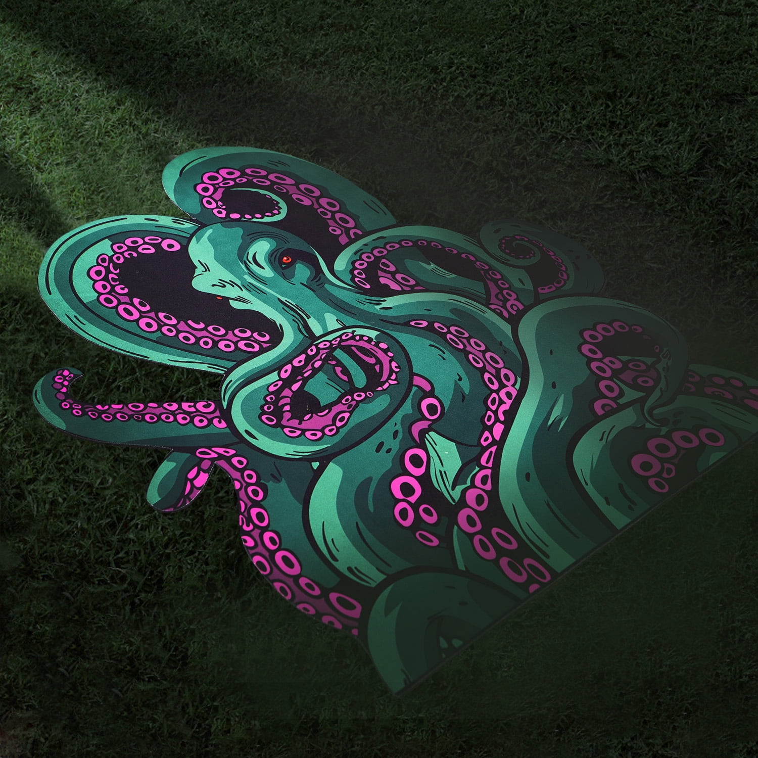 Funny Rug for Living Room, Super Absorbent Bath Mat Non Slip, Machine ...