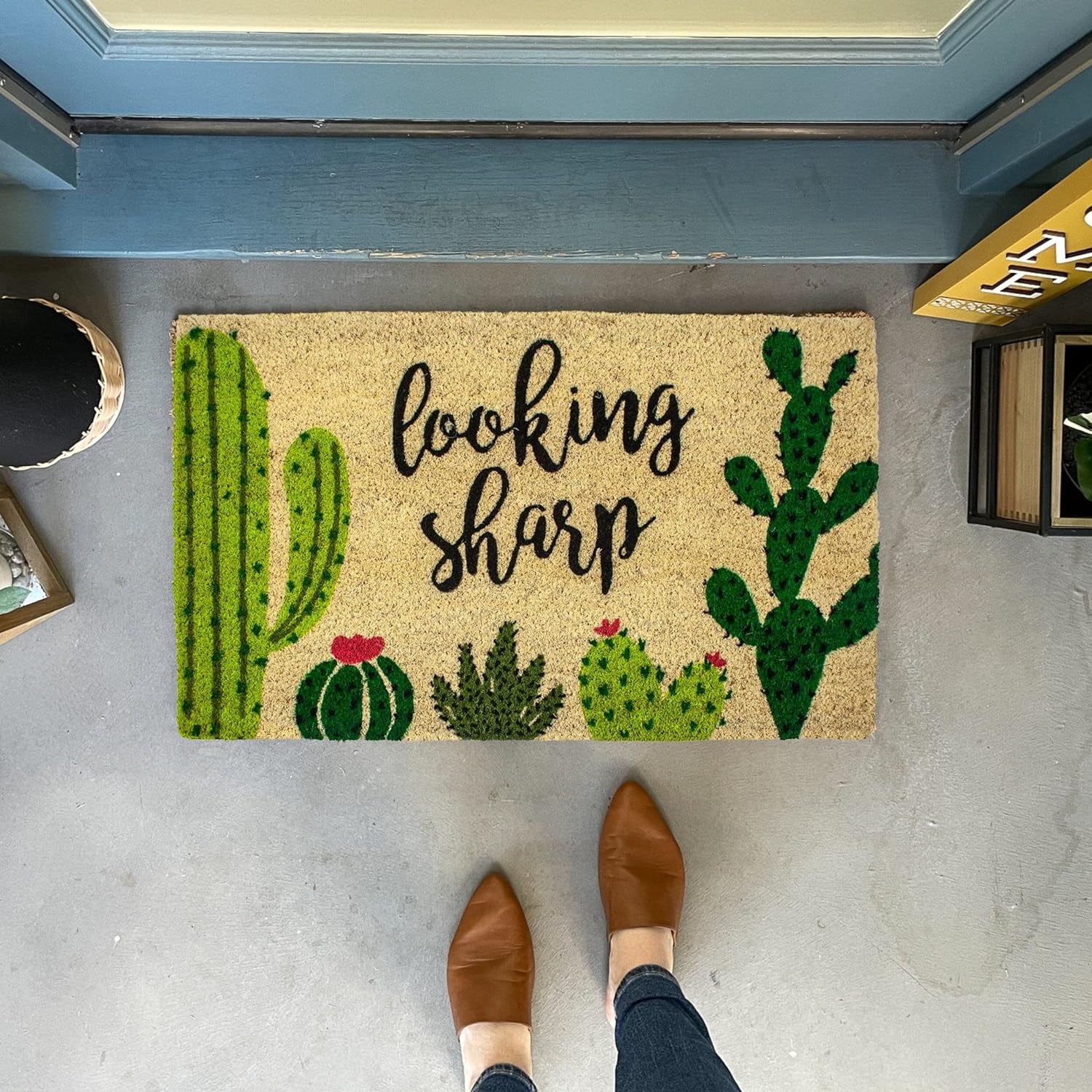 Funny Rug Mat Cactus Doormat Plant Welcome Mat Gift for Plant Lovers Succulent Gift Summer ...