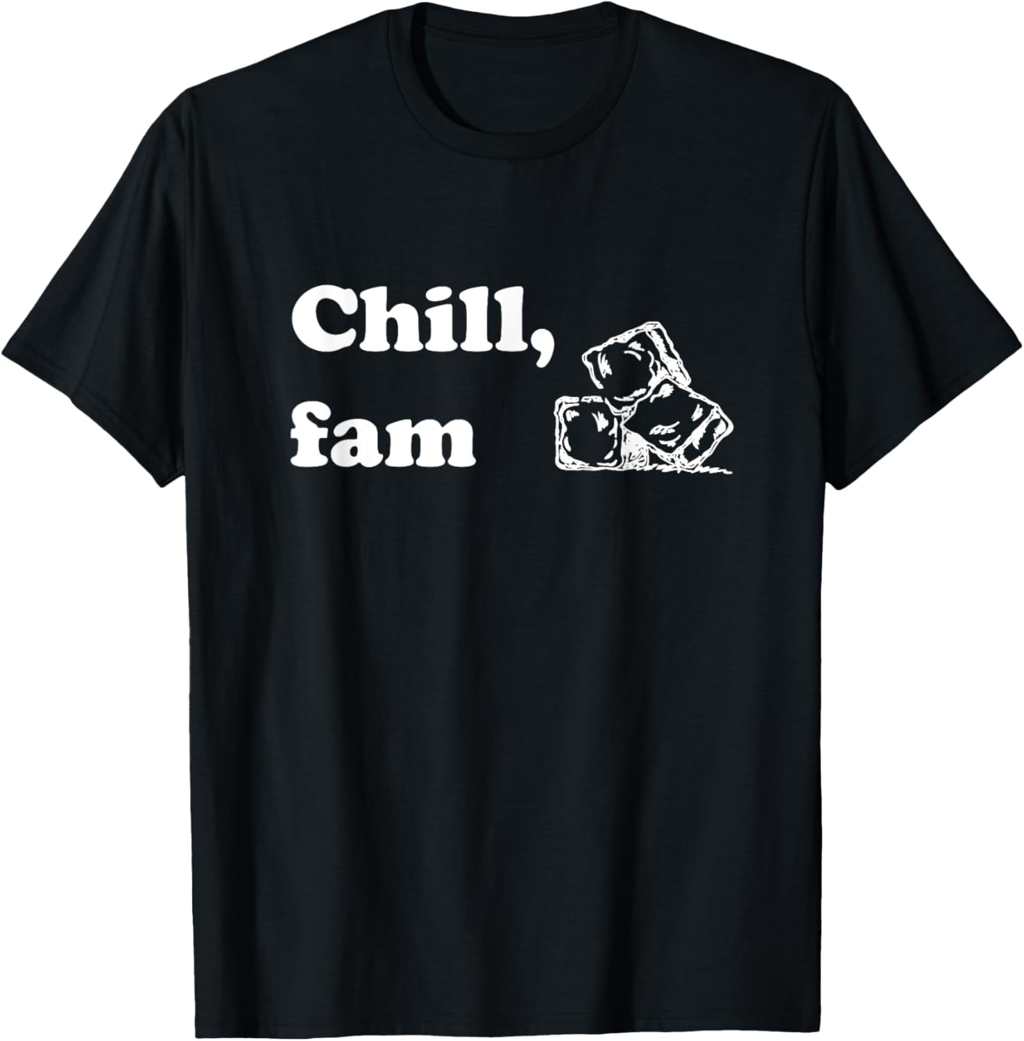 Funny Sarcastic Teen Tween Kid Trendy Ironic Tween Chill Fam T-Shirt ...