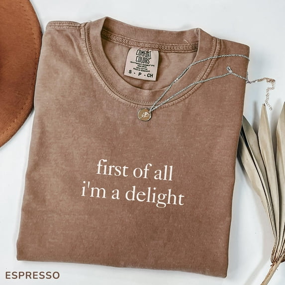 Funny Sarcastic Womens Tshirt, First Of All I m A Delight Shirt, Sassy ...