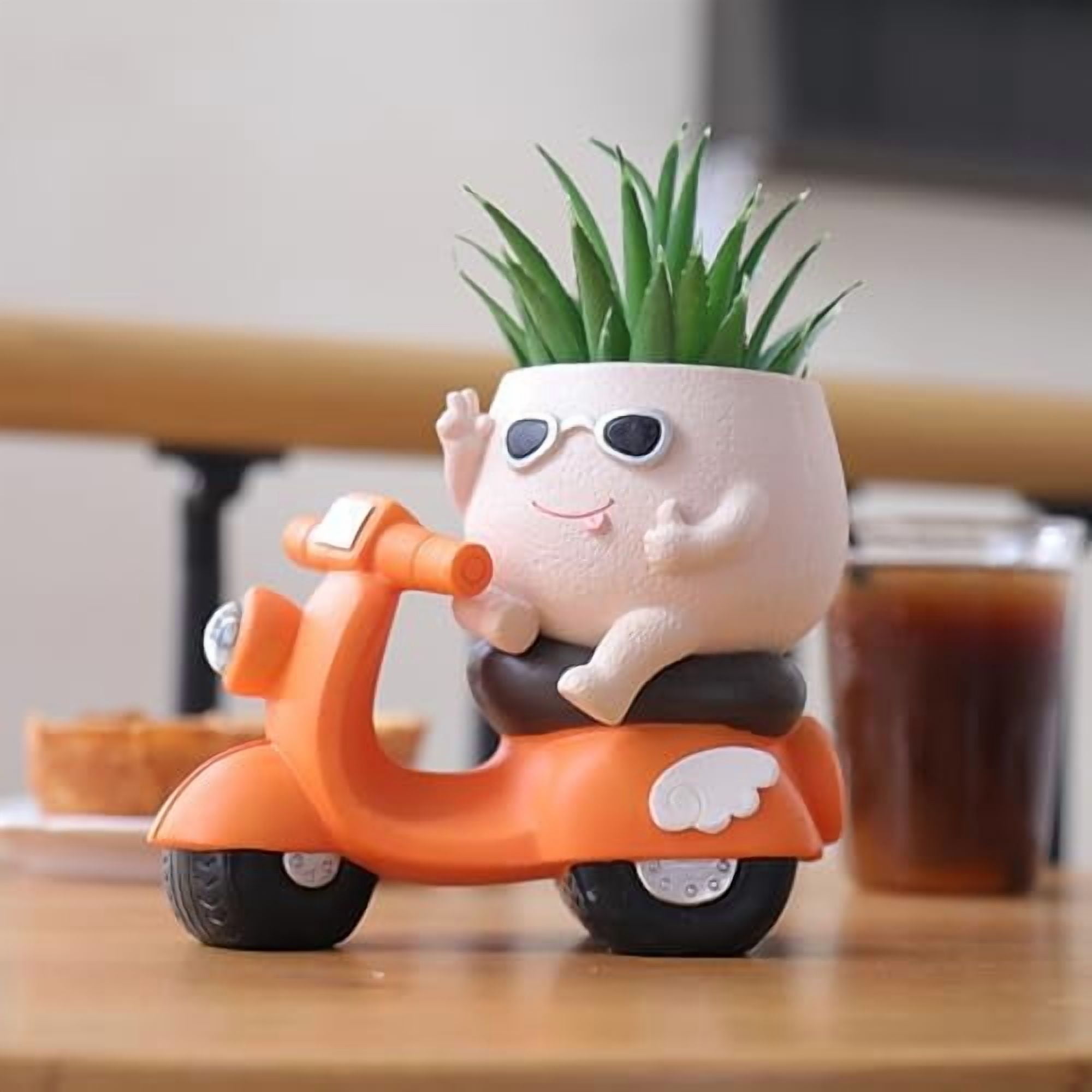 Funny Self Watering Face Head Flower Pots for Indoor Plants, Cute ...