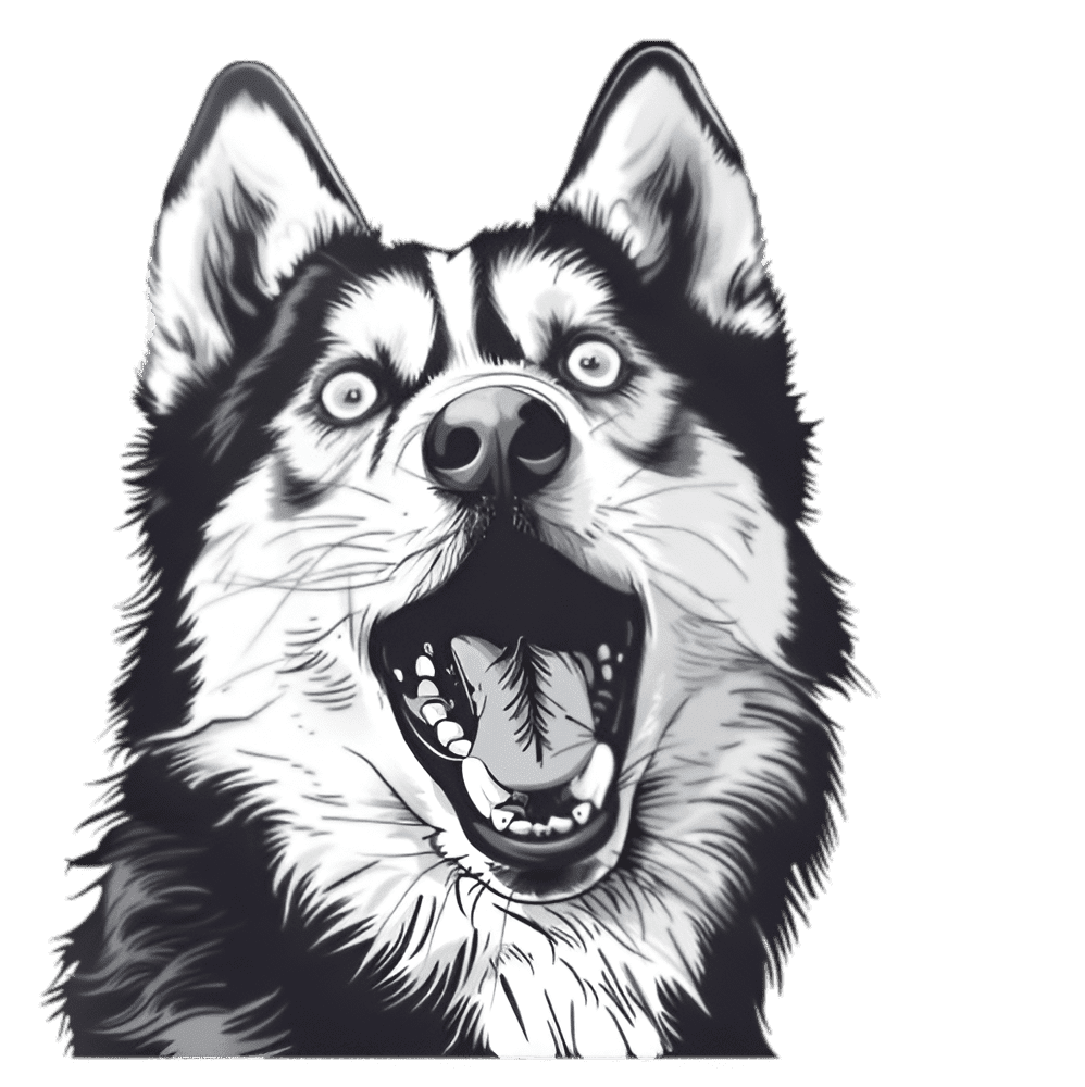 Funny Siberian Husky Dog Car Decal Hilarious Surprised Dog and Cat Auto ...
