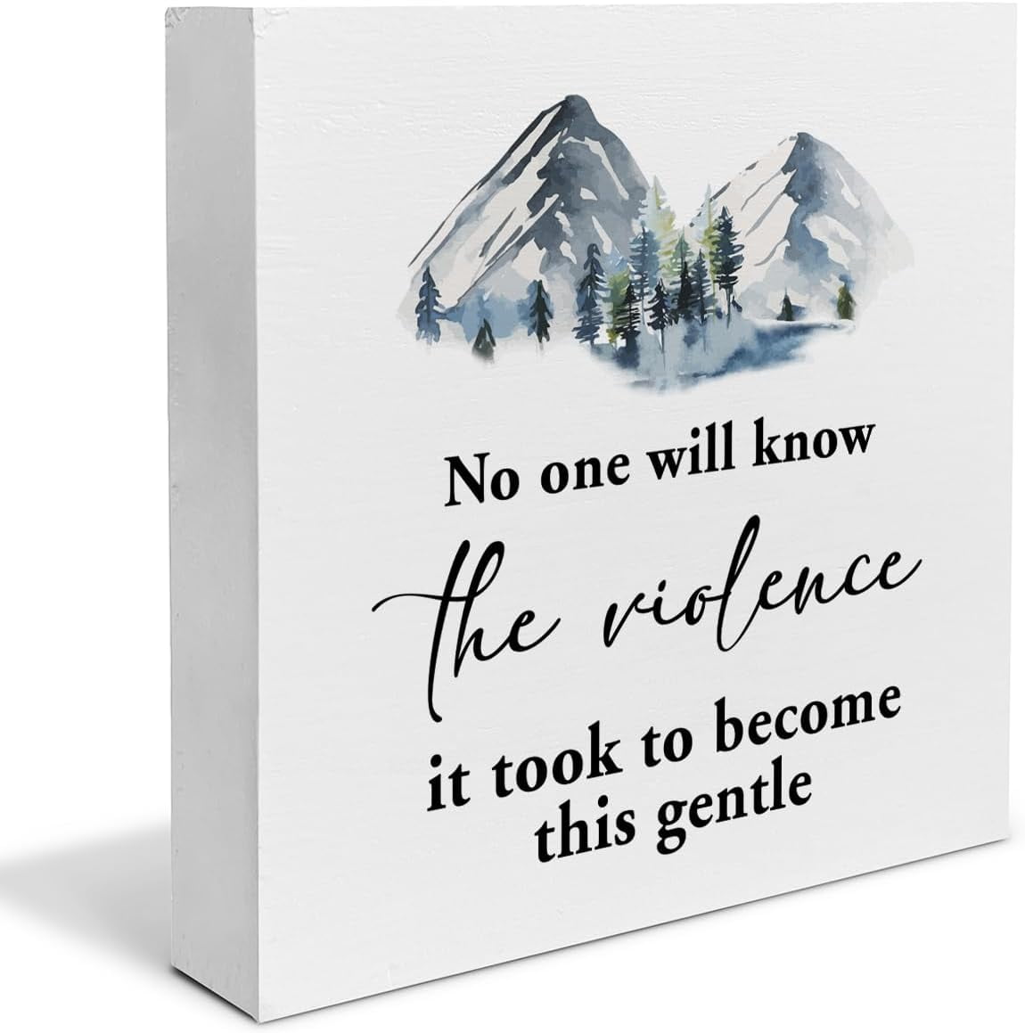 Funny Sign Motivational Quote Wooden Box Sign No One Will Know the ...