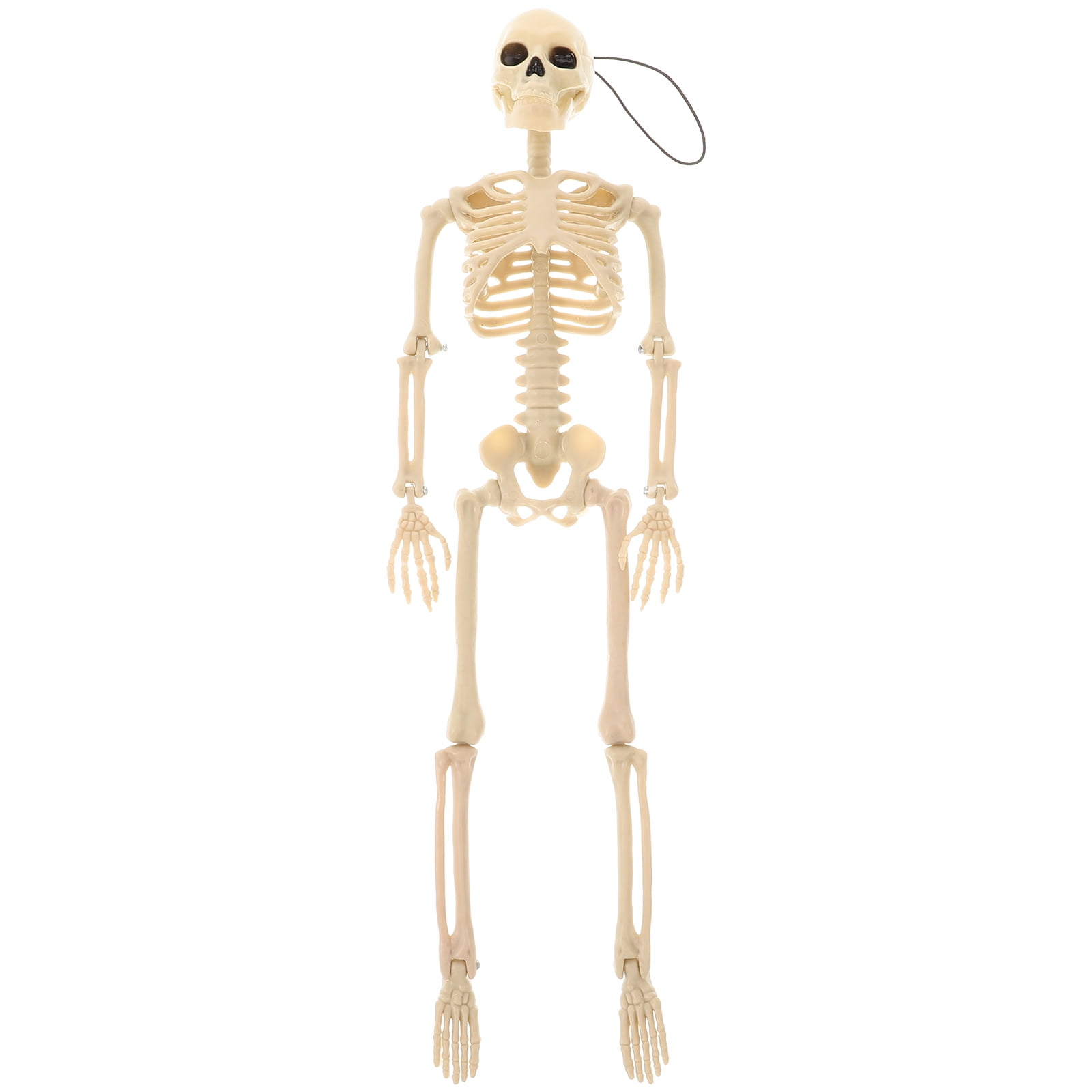 TABLZONE Plastic Sculptures Creative Skeleton Prop Metal 1Pack ...