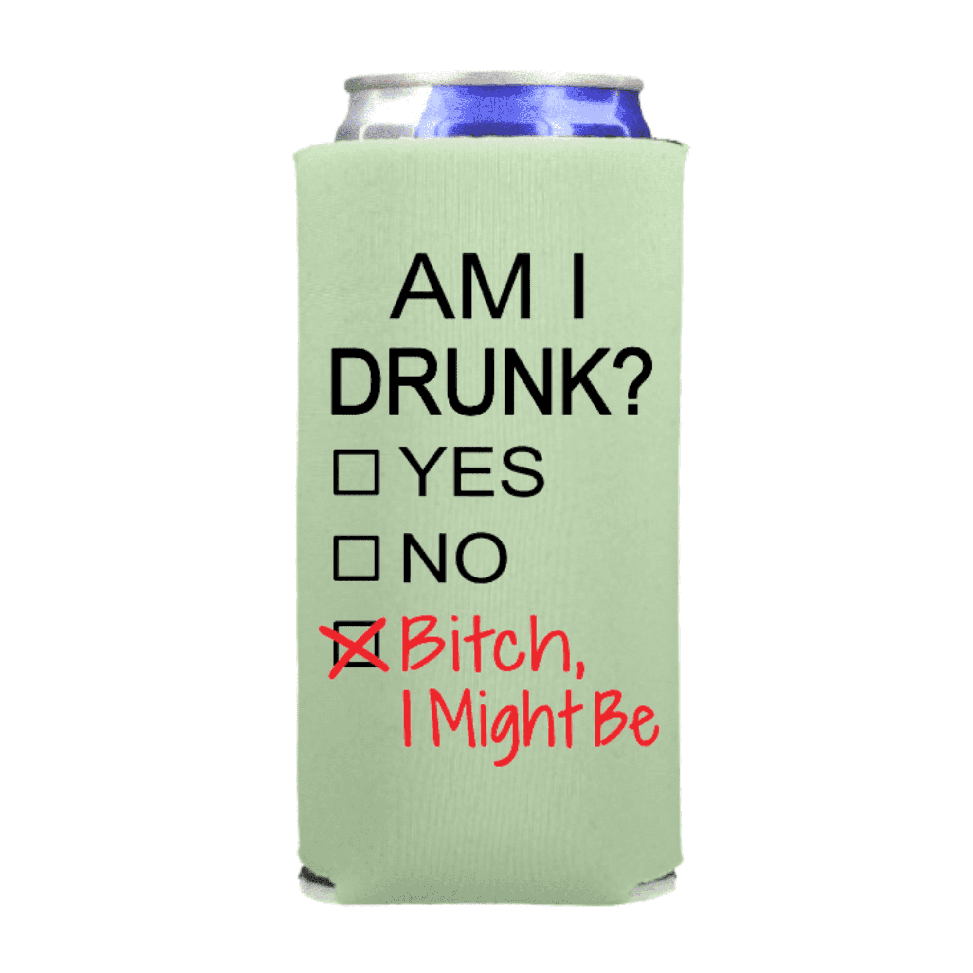 Funny Slim Can Cooler, Am I Drunk, Spiked Seltzer Drink Accessory Gift ...
