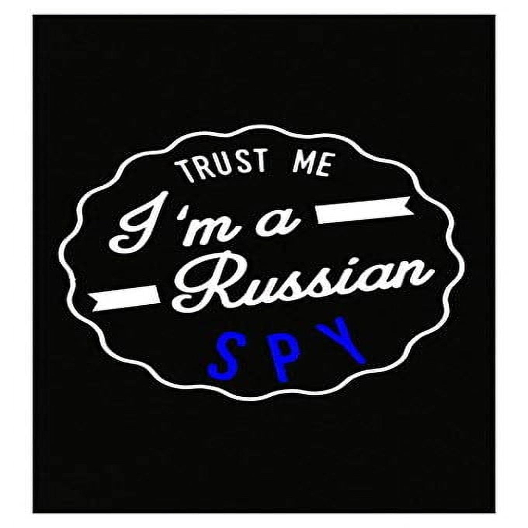 Funny Spy Poster - Wall Decor for Home or Office Gift - Walmart.com