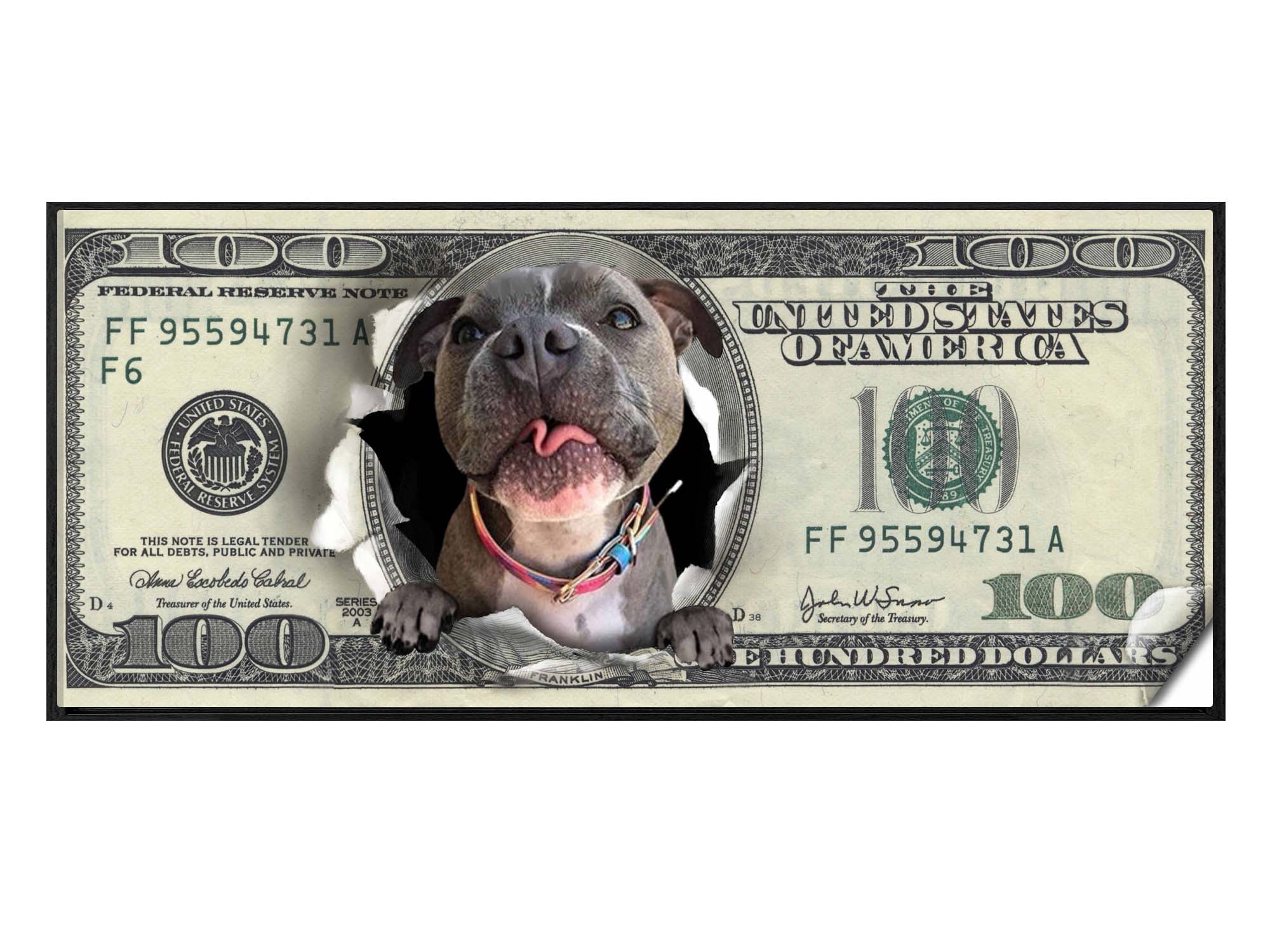 Funny Spying Dog In 100 Dollars Bill Wall Art Canvas Money Wall Art 100 ...